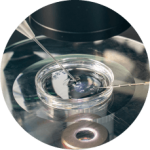 Alpha IVF Group Berhad